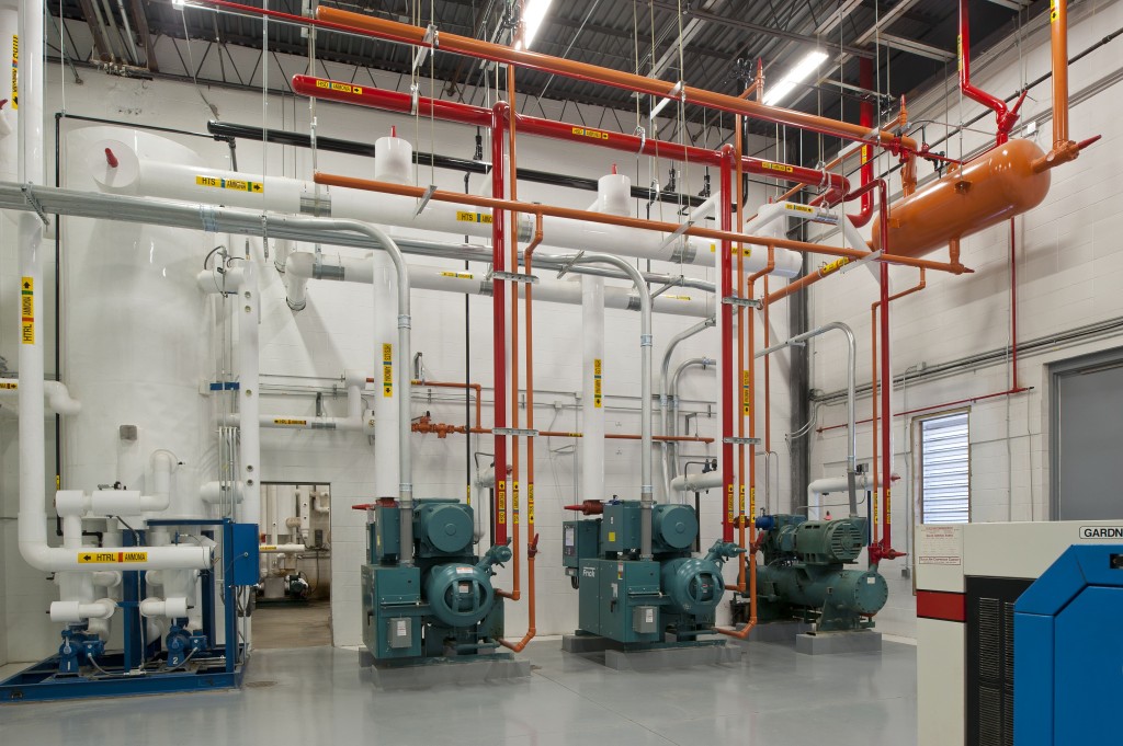 Blue Rock supports Freshpet's growth with refrigerated facility